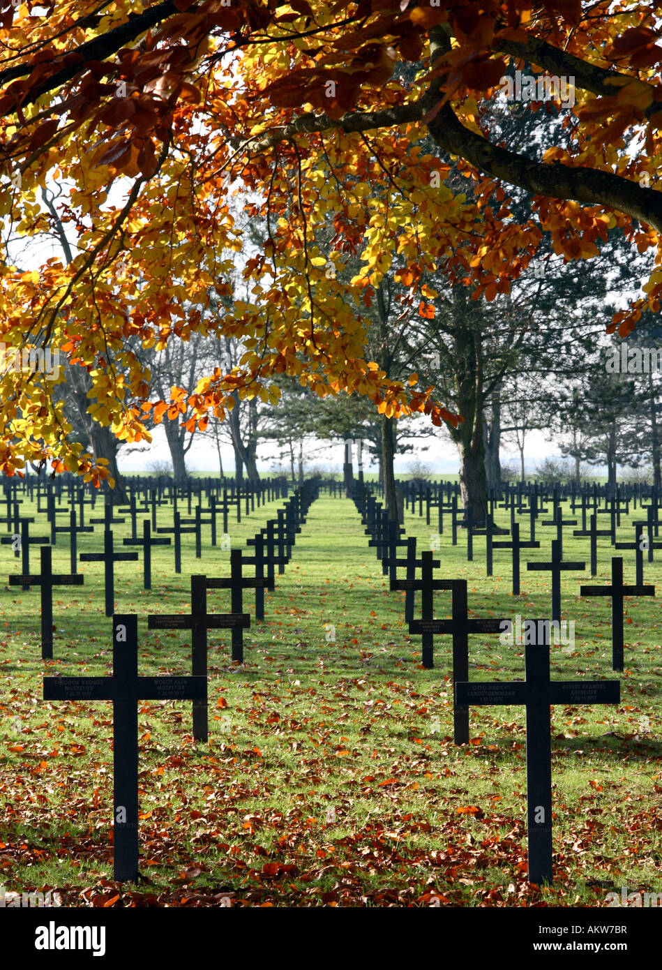 German First World War graves at Neuville St Vaast in northern France ...