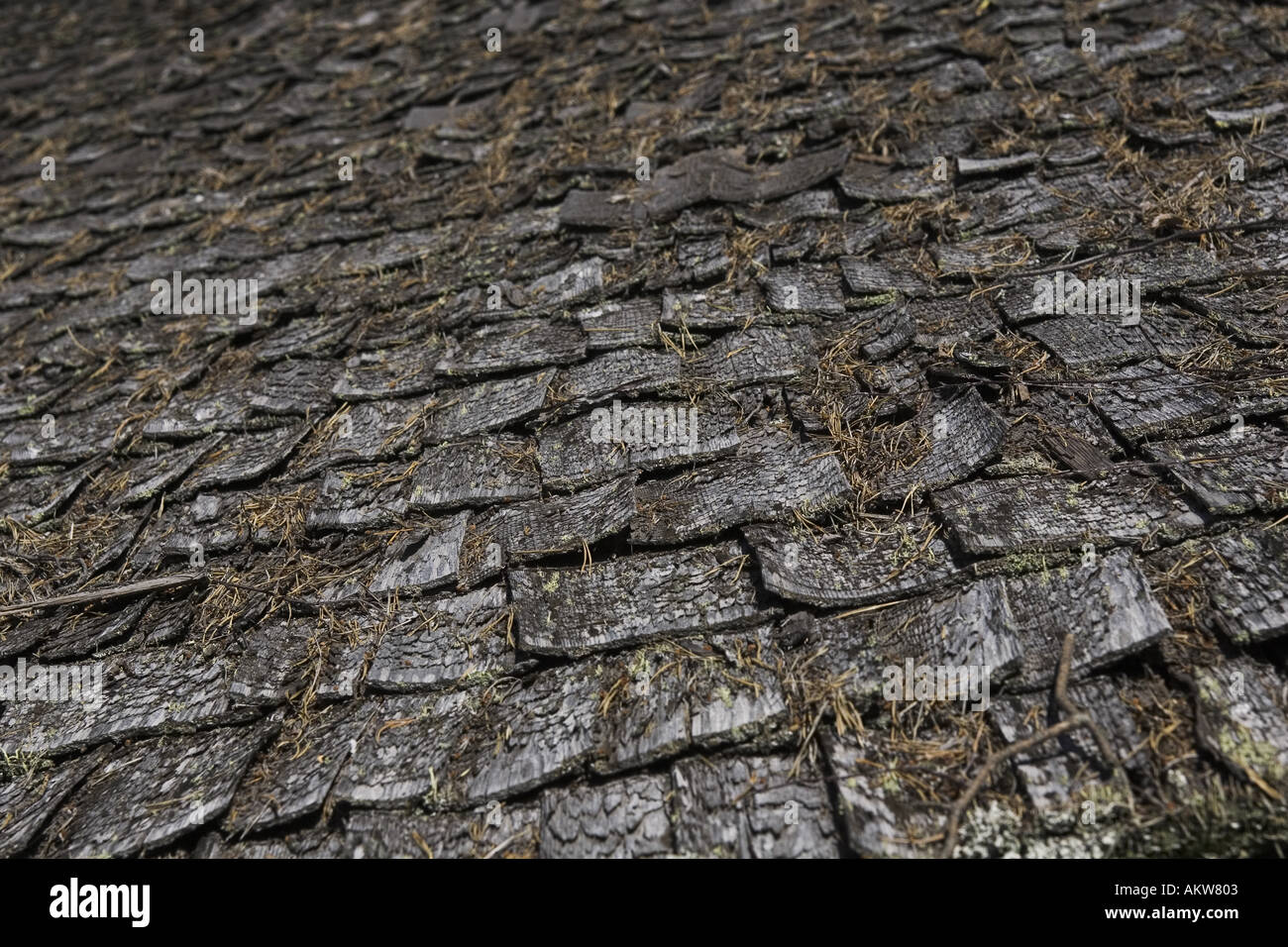 Notched roof hi-res stock photography and images - Alamy