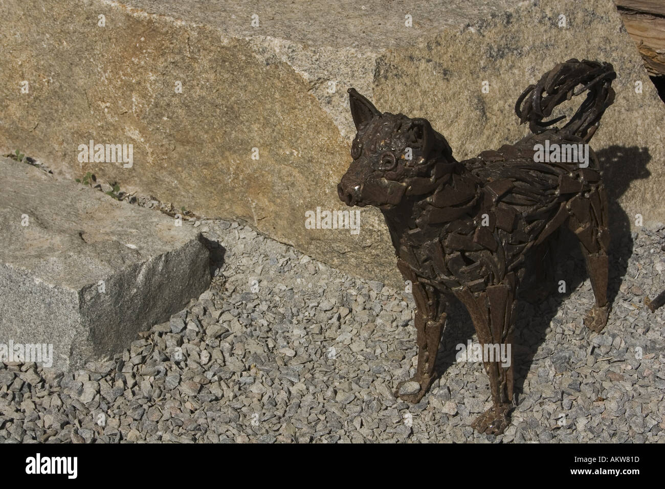Bumpy dog hi-res stock photography and images - Alamy
