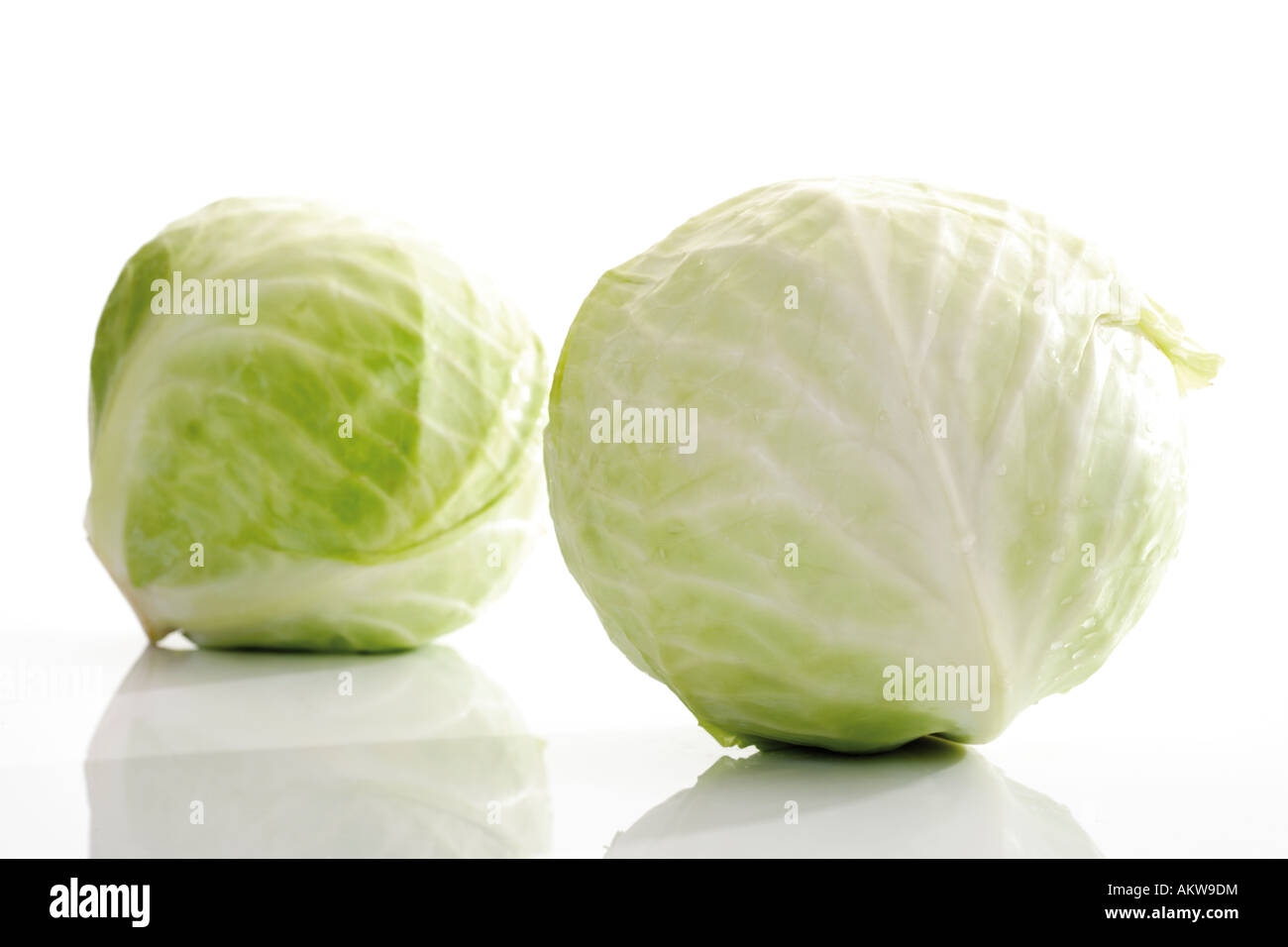 Cabbages white hi-res stock photography and images - Alamy