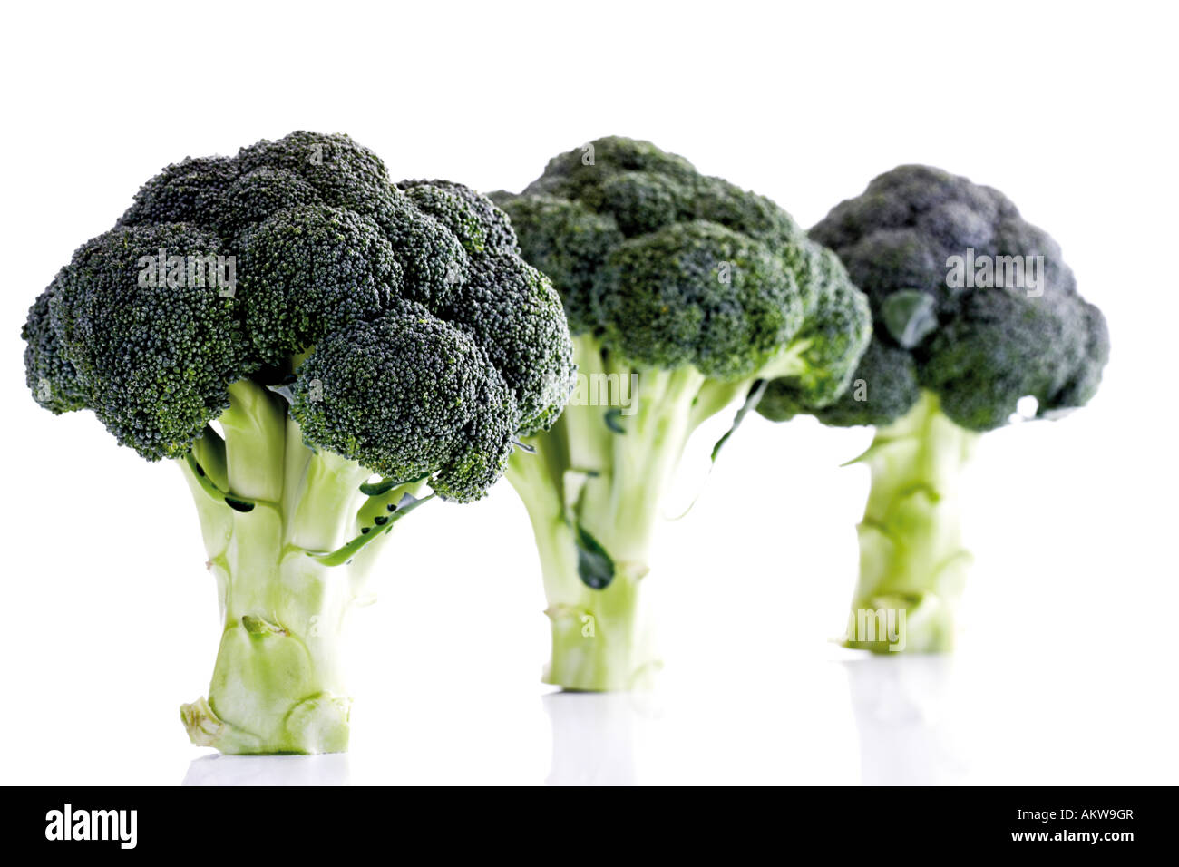 Fuzzy sprouts hi-res stock photography and images - Alamy