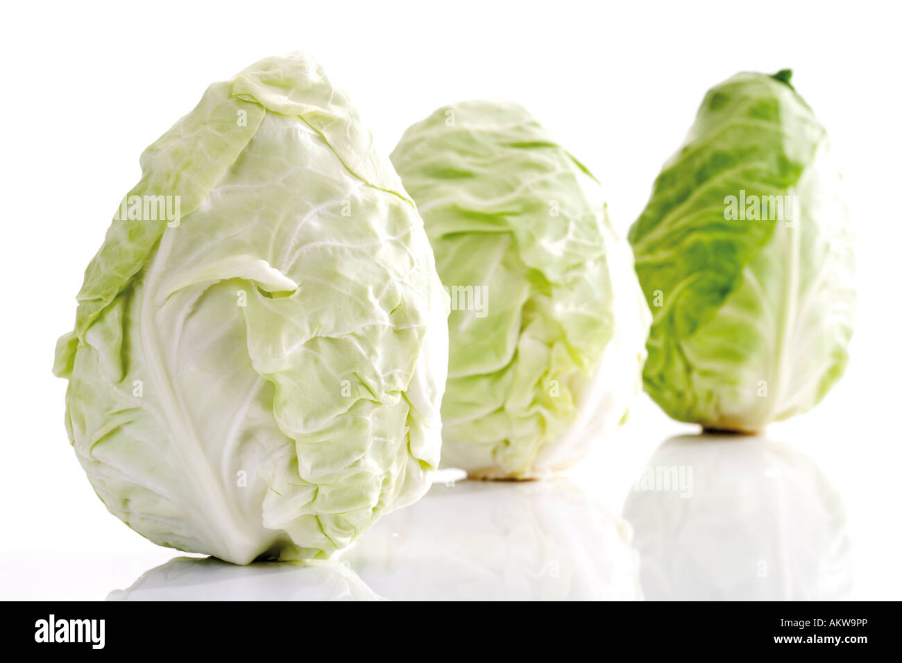 Pointed cabbage hi-res stock photography and images - Alamy