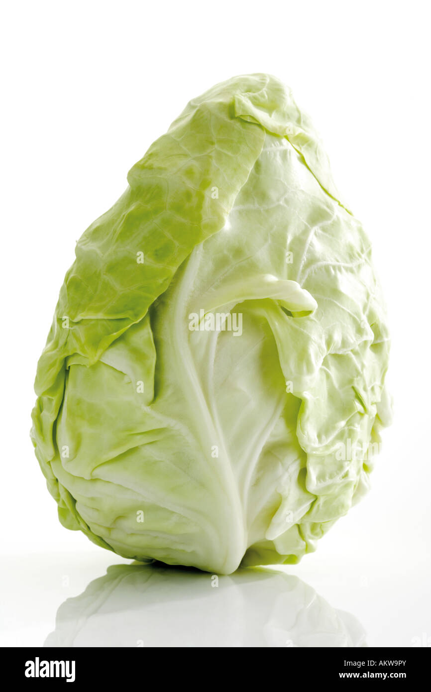 Close-up of pointed cabbage Stock Photo - Alamy