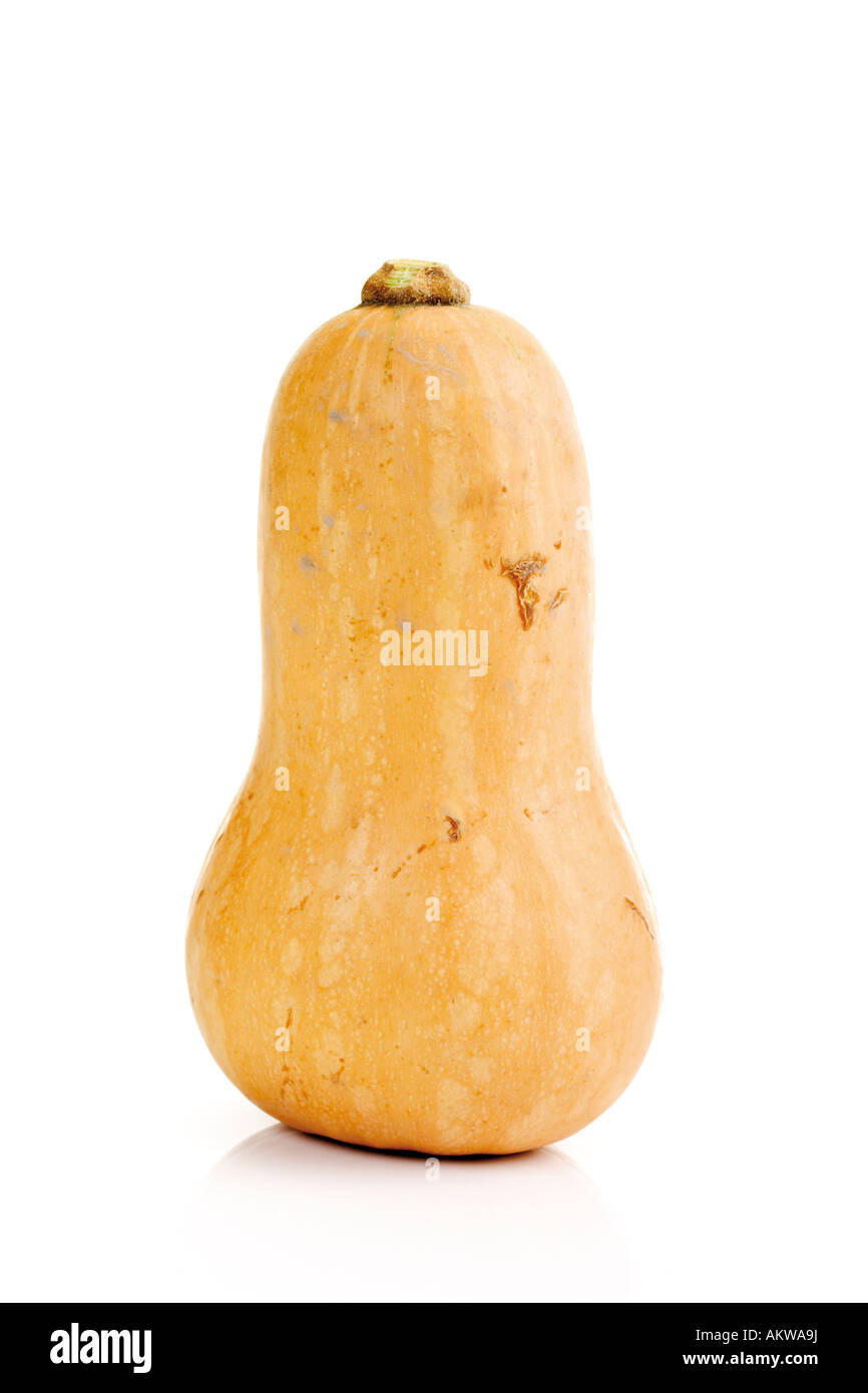 Butternut pumpkin, close-up Stock Photo - Alamy