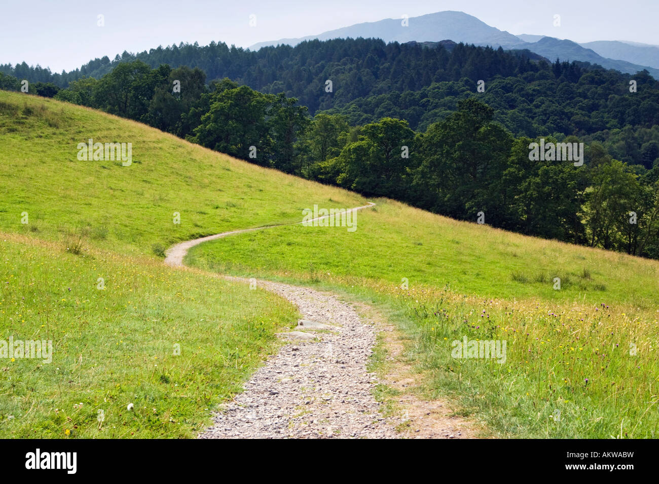 A path winding through a meadow near Elterwater in the English Lake ...