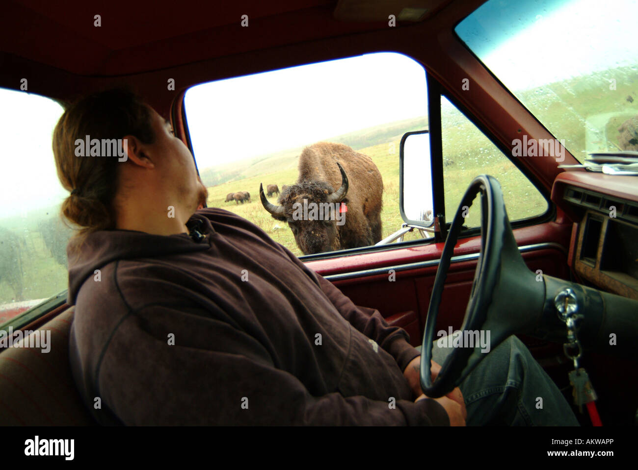 Berthold north dakota hi-res stock photography and images - Alamy