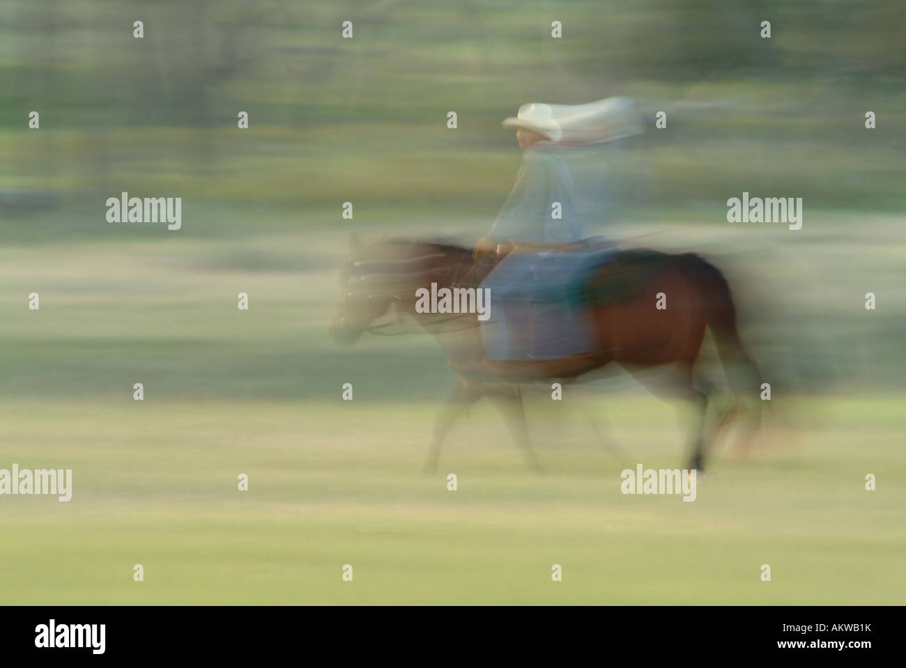 Woman riding a Quarter Horse on the Logging Camp Ranch North Dakota ...