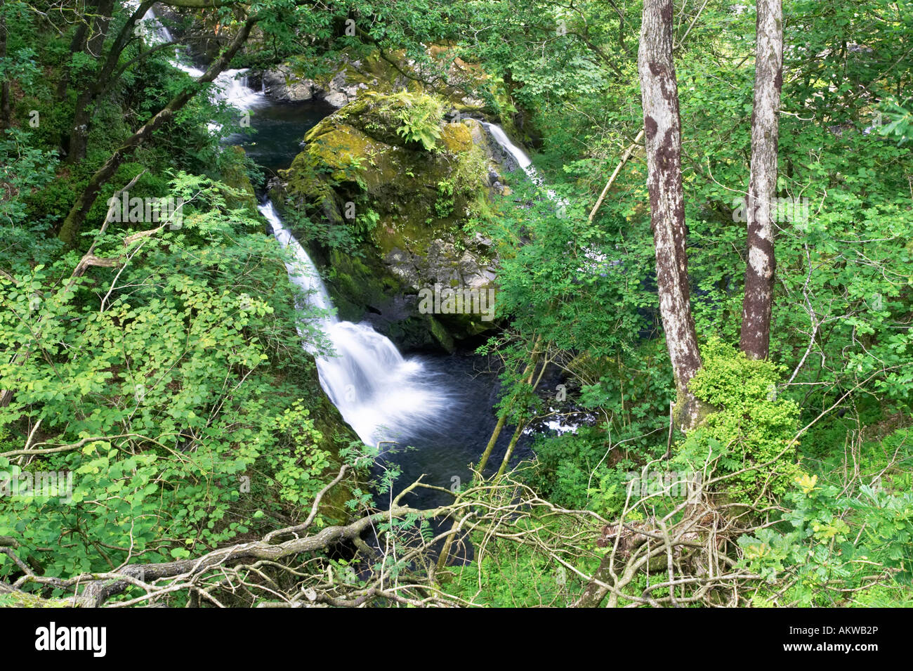 Colwith Force on the River Brathay, near Elterwater in the Lake ...