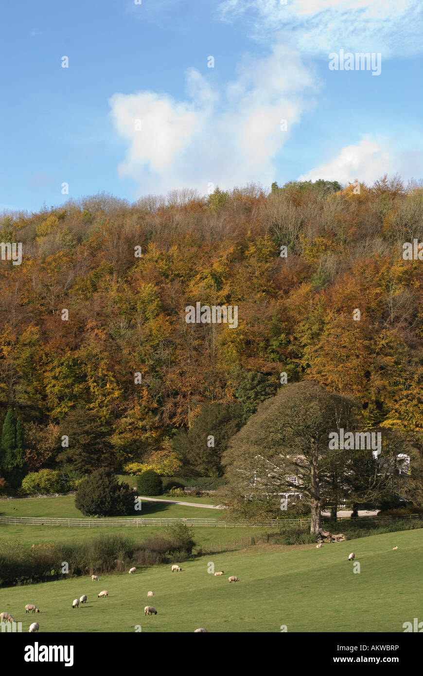 english october landscape Stock Photo - Alamy