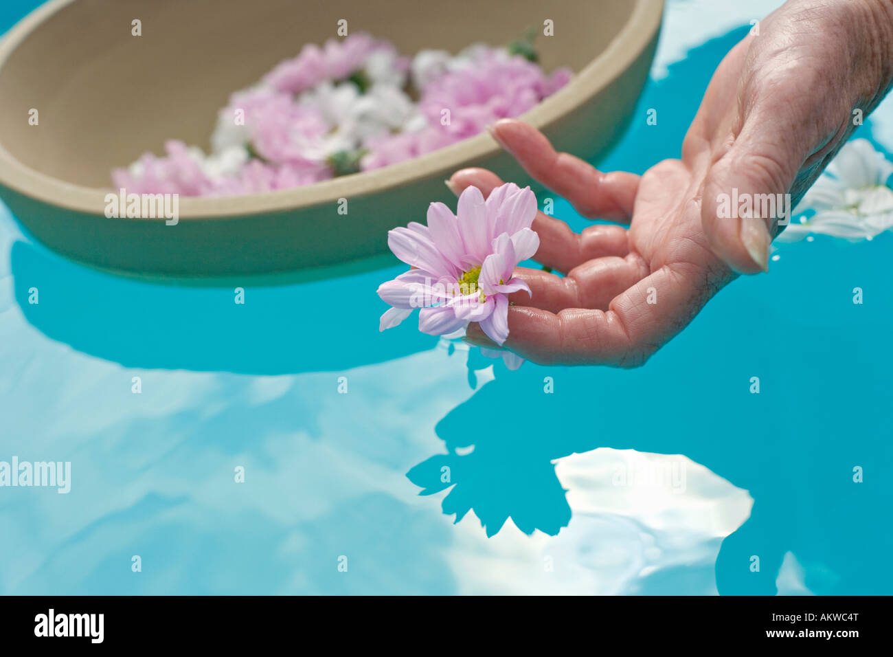 View hands touching flowers floating hi-res stock photography and ...
