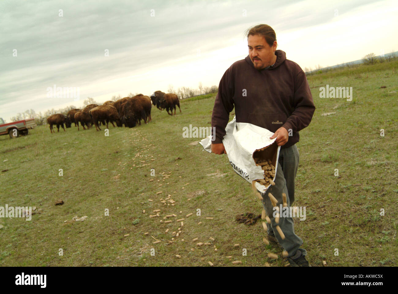 Berthold north dakota hi-res stock photography and images - Alamy