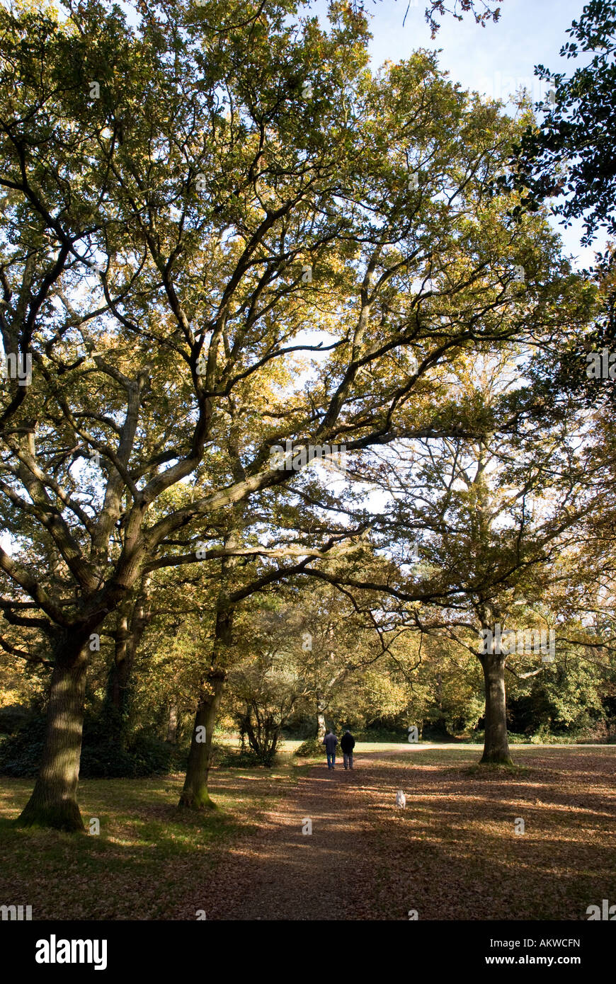 Southampton common hi-res stock photography and images - Alamy