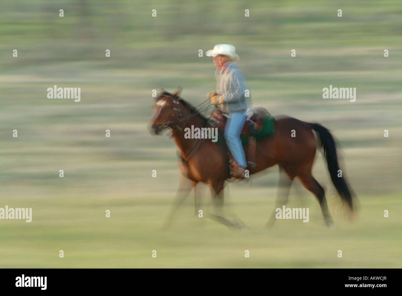 Woman riding a Quarter Horse on the Logging Camp Ranch North Dakota ...