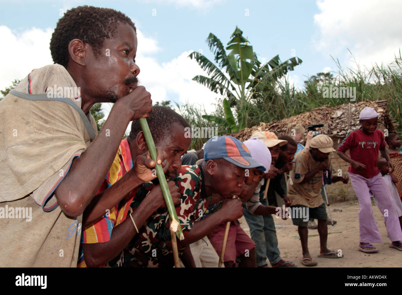 Mbuti hi-res stock photography and images - Alamy