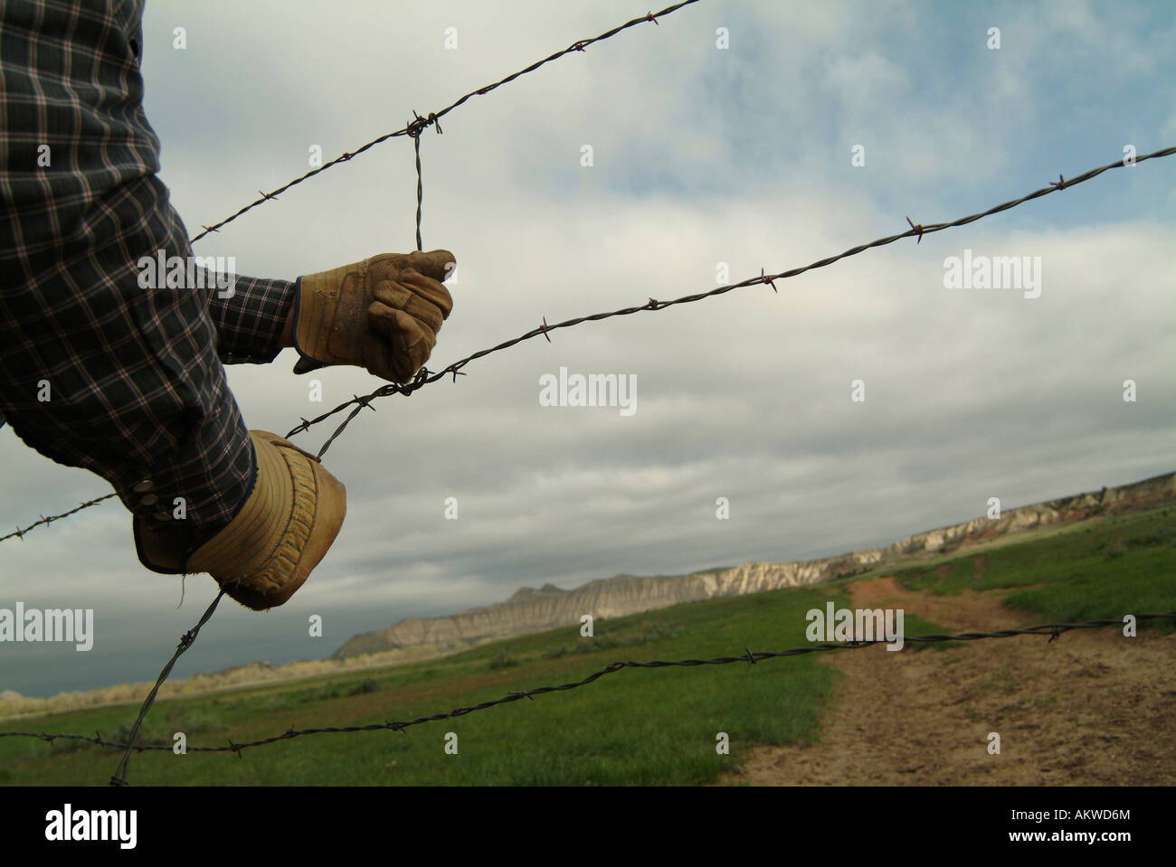 Barbed wire on fence hi-res stock photography and images - Alamy