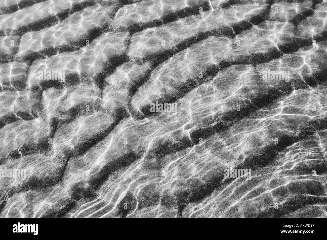 Form reflects Black and White Stock Photos & Images - Alamy