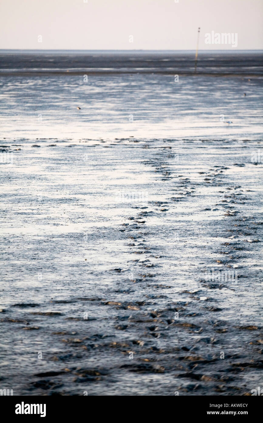 Traces in wet sand Stock Photo - Alamy