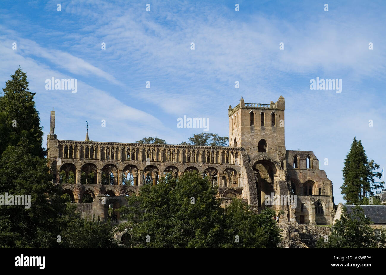 dh Jedburgh Abbey JEDBURGH BORDERS Augustinian abbey ruins scottish ...