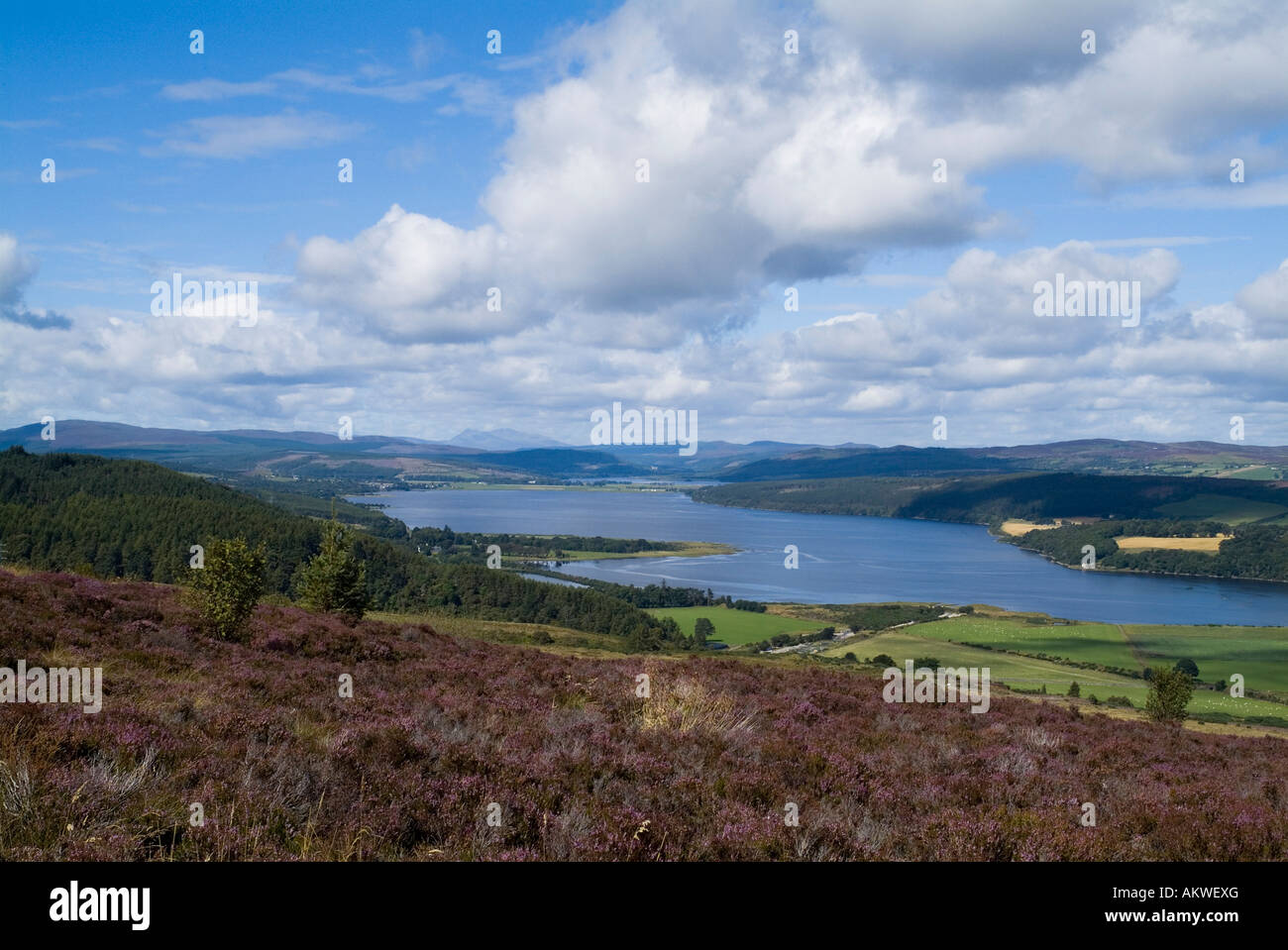 Struie viewpoint hi-res stock photography and images - Alamy