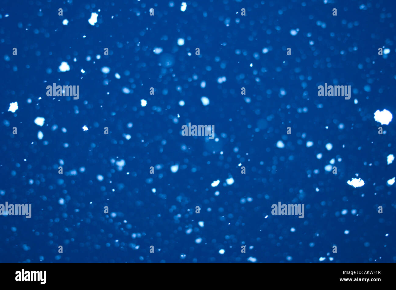 Snow falling at night Stock Photo - Alamy