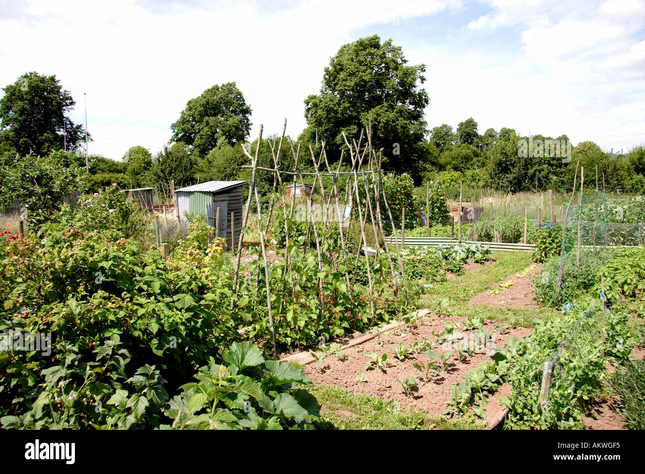 Allotments wales hi-res stock photography and images - Alamy