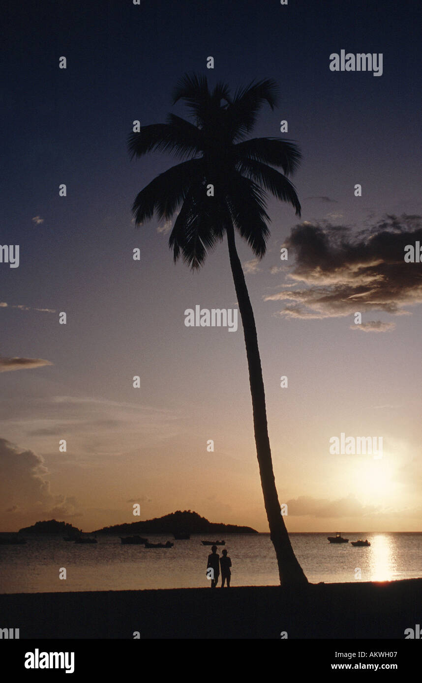 people on beach at sunset Stock Photo - Alamy
