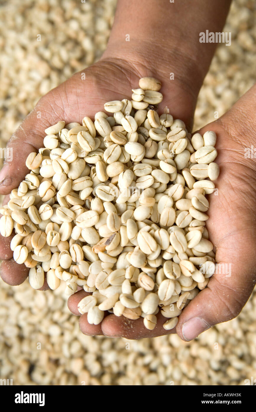 Coffee beans display hi-res stock photography and images - Alamy