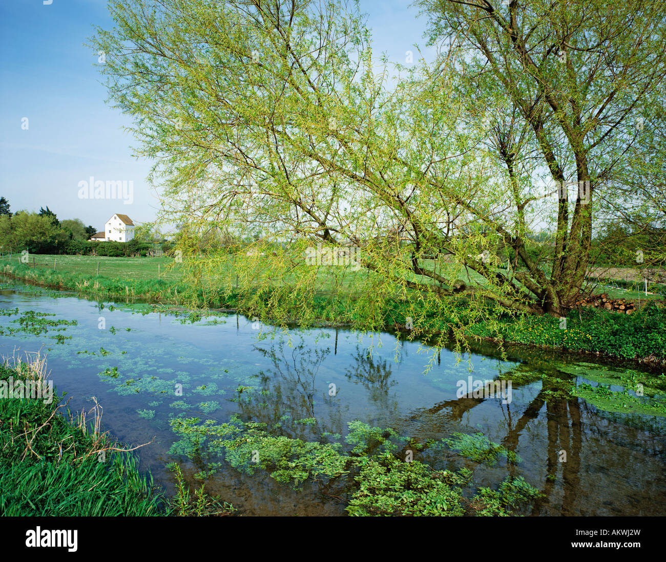 Littlebourne hi-res stock photography and images - Alamy