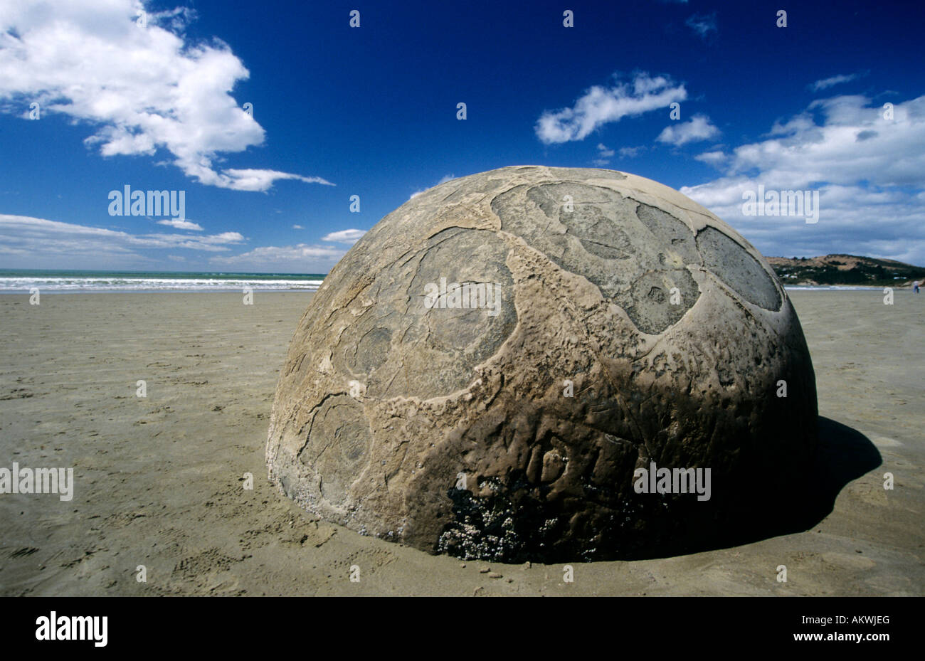 New Zealand, South Island, Moeraki Boulders on beach, close-up Stock ...