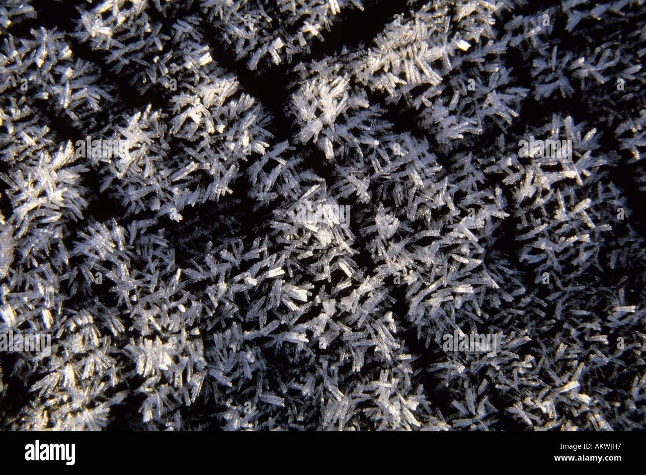 Nature, Frost patterns Stock Photo - Alamy