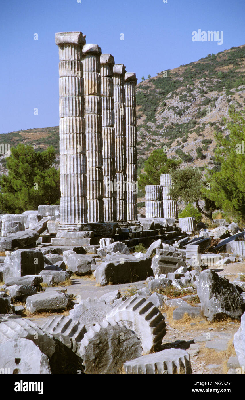 Asia, Middle East, Turkey, Ephesus. Temple of Artemis Stock Photo - Alamy