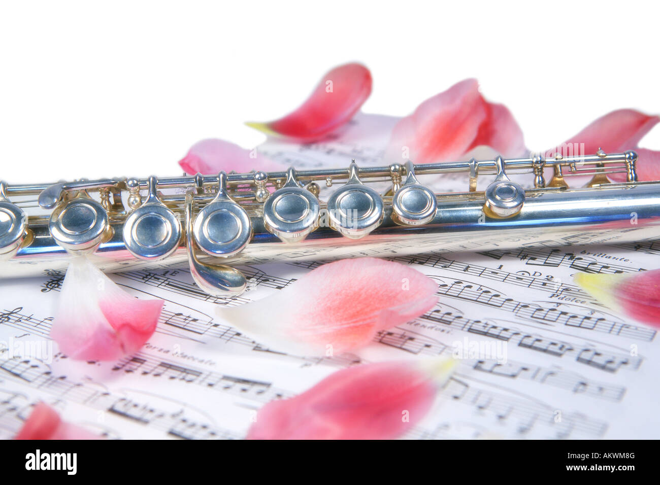 Silver flower petals hi-res stock photography and images - Alamy