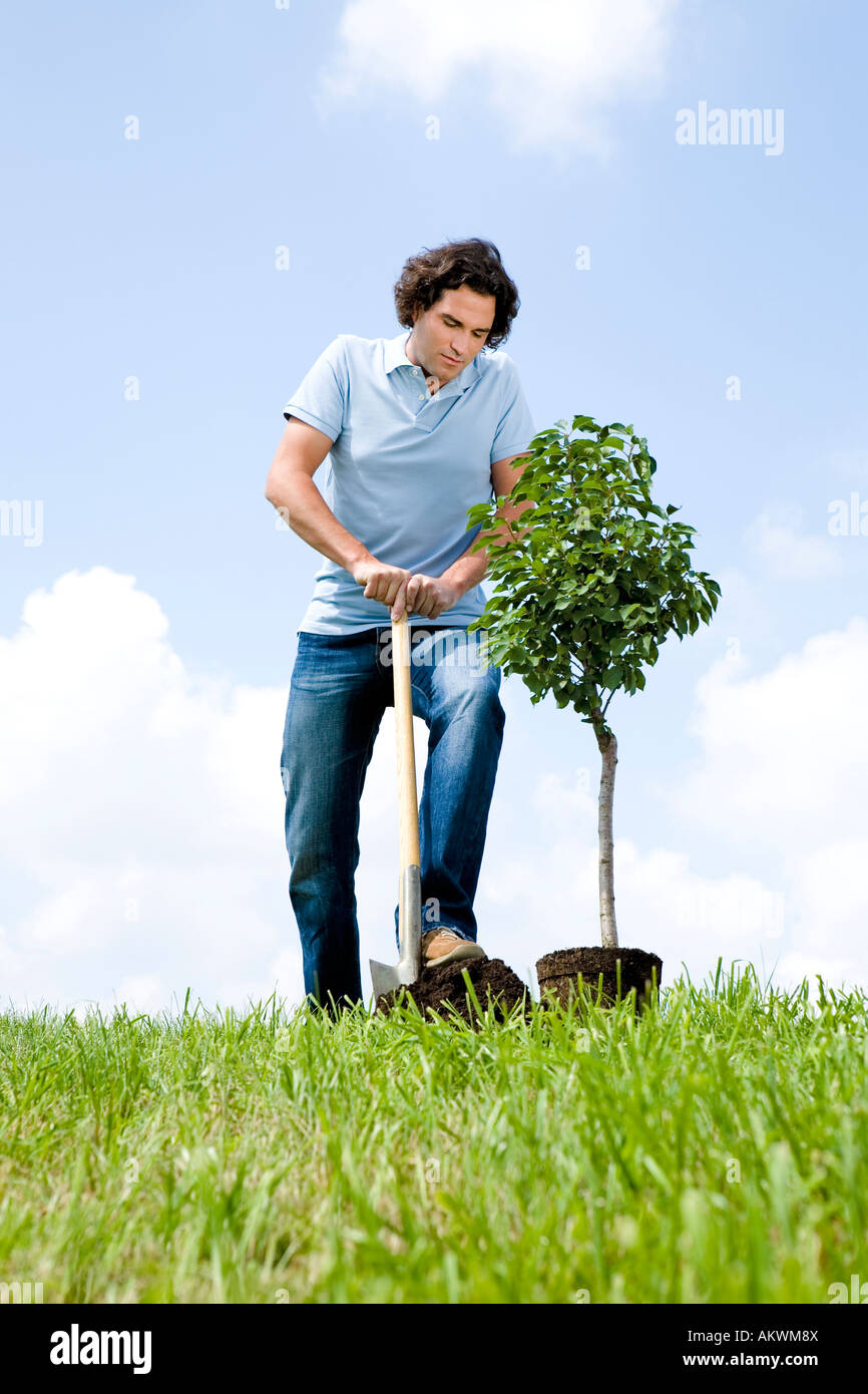 Man planting tree, close-up Stock Photo - Alamy