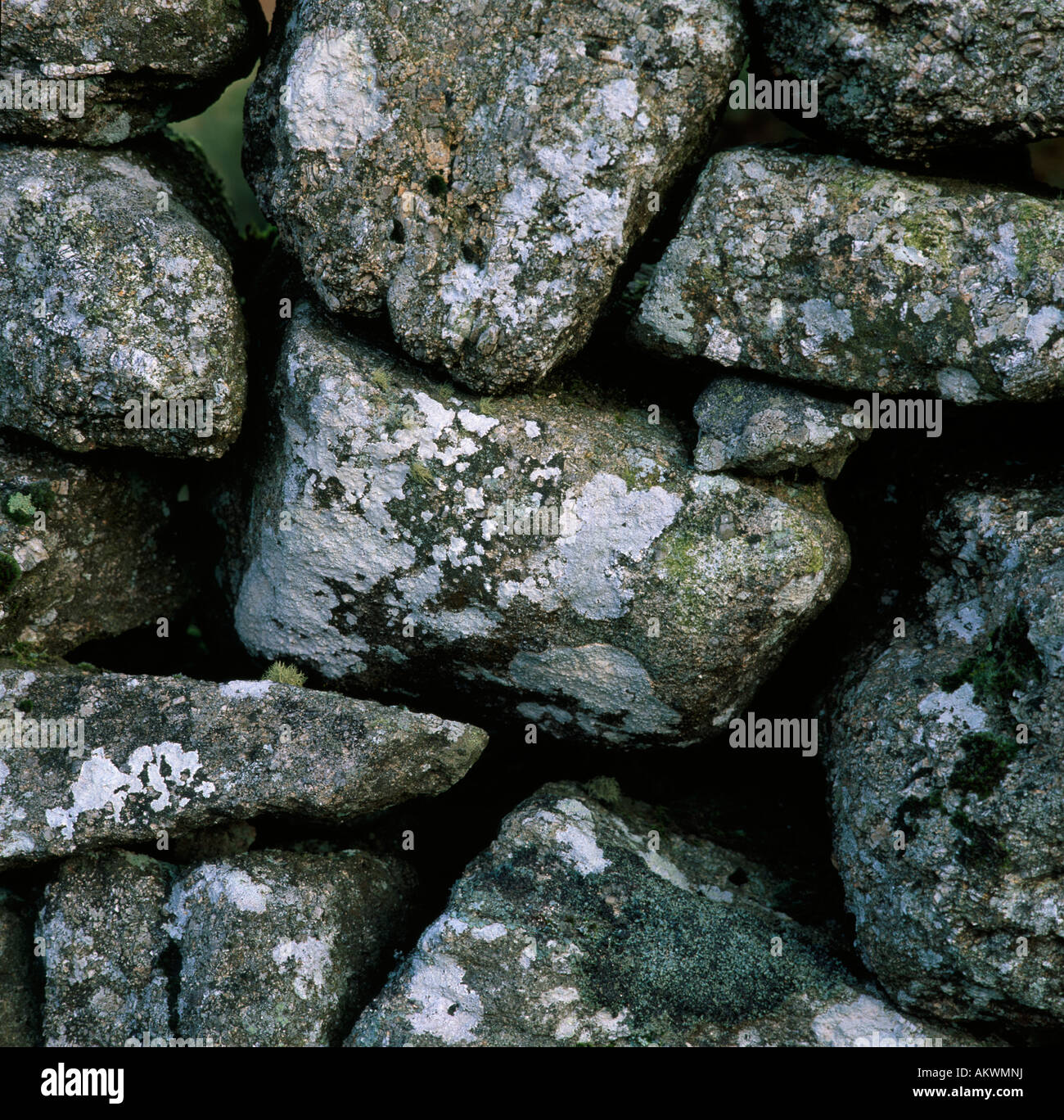 Devon dry stone walls hi-res stock photography and images - Alamy