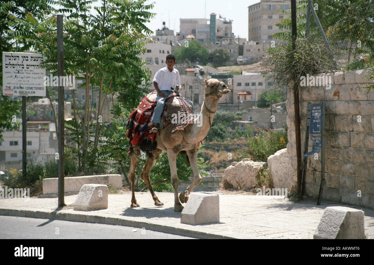 Jerusalem 0502-33 camel,jerusalem,arab Stock Photo - Alamy