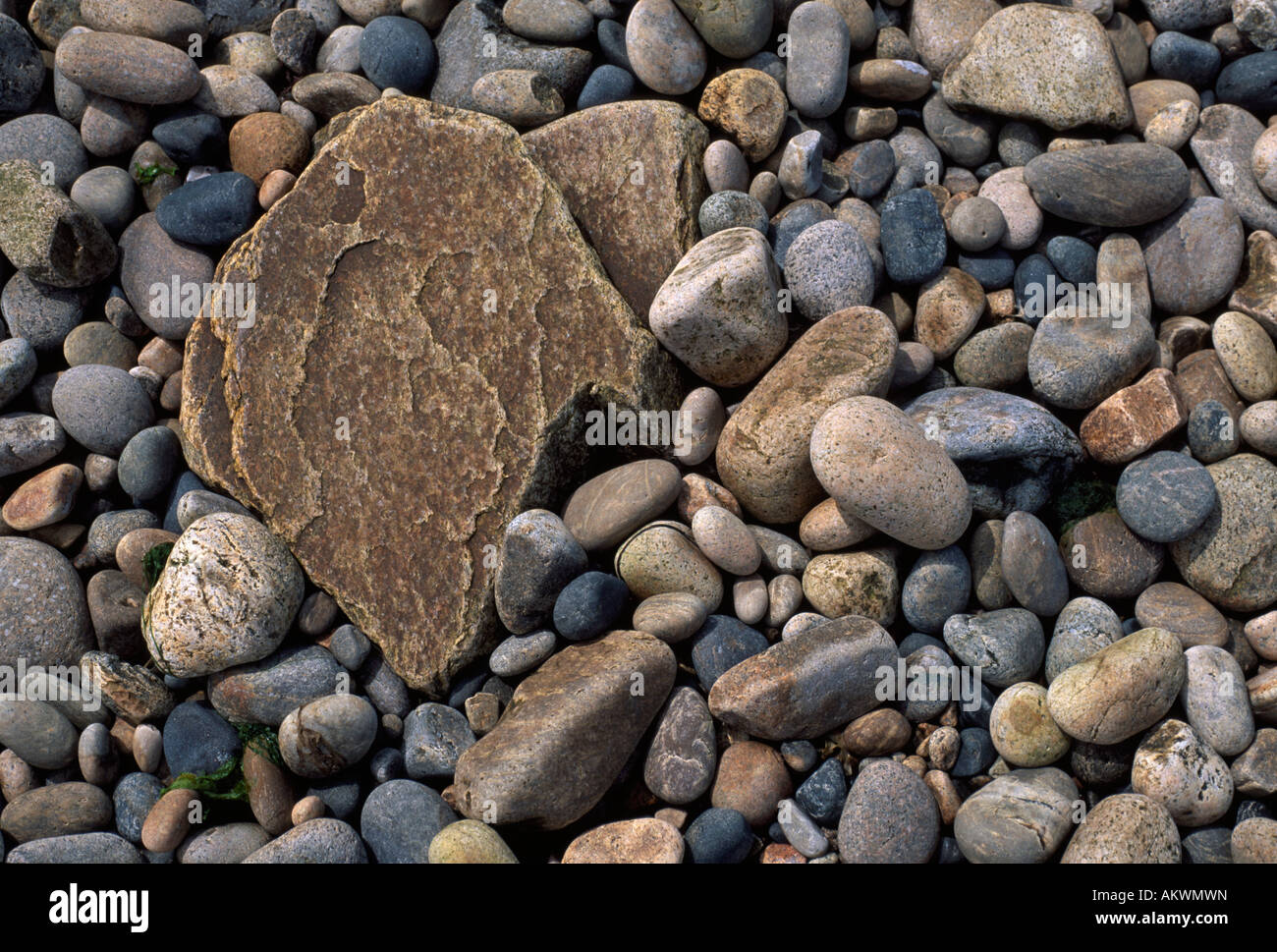 Close-up of pebbles on a beach in Brittany, France Stock Photo - Alamy