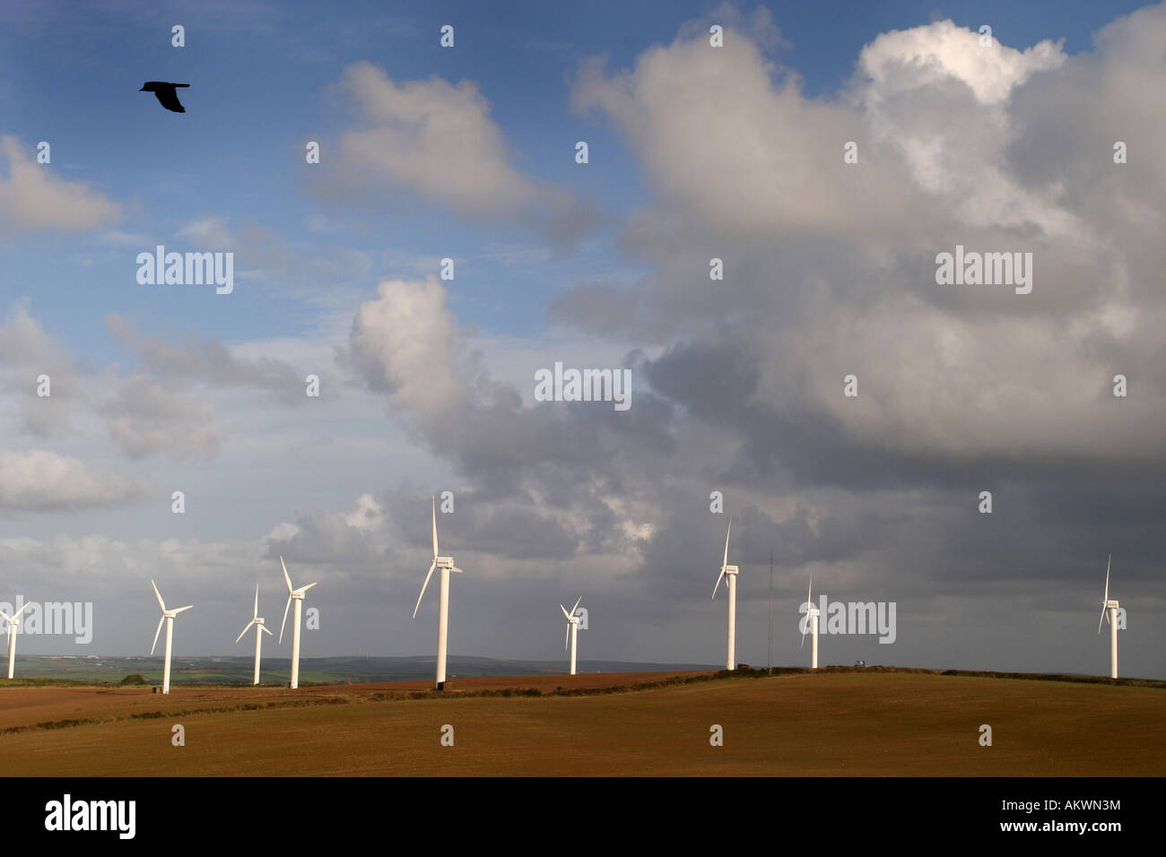 Carbon neutral cornwall hi-res stock photography and images - Alamy