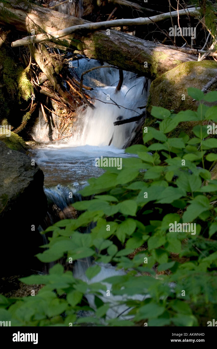 Entiat valley hi-res stock photography and images - Alamy
