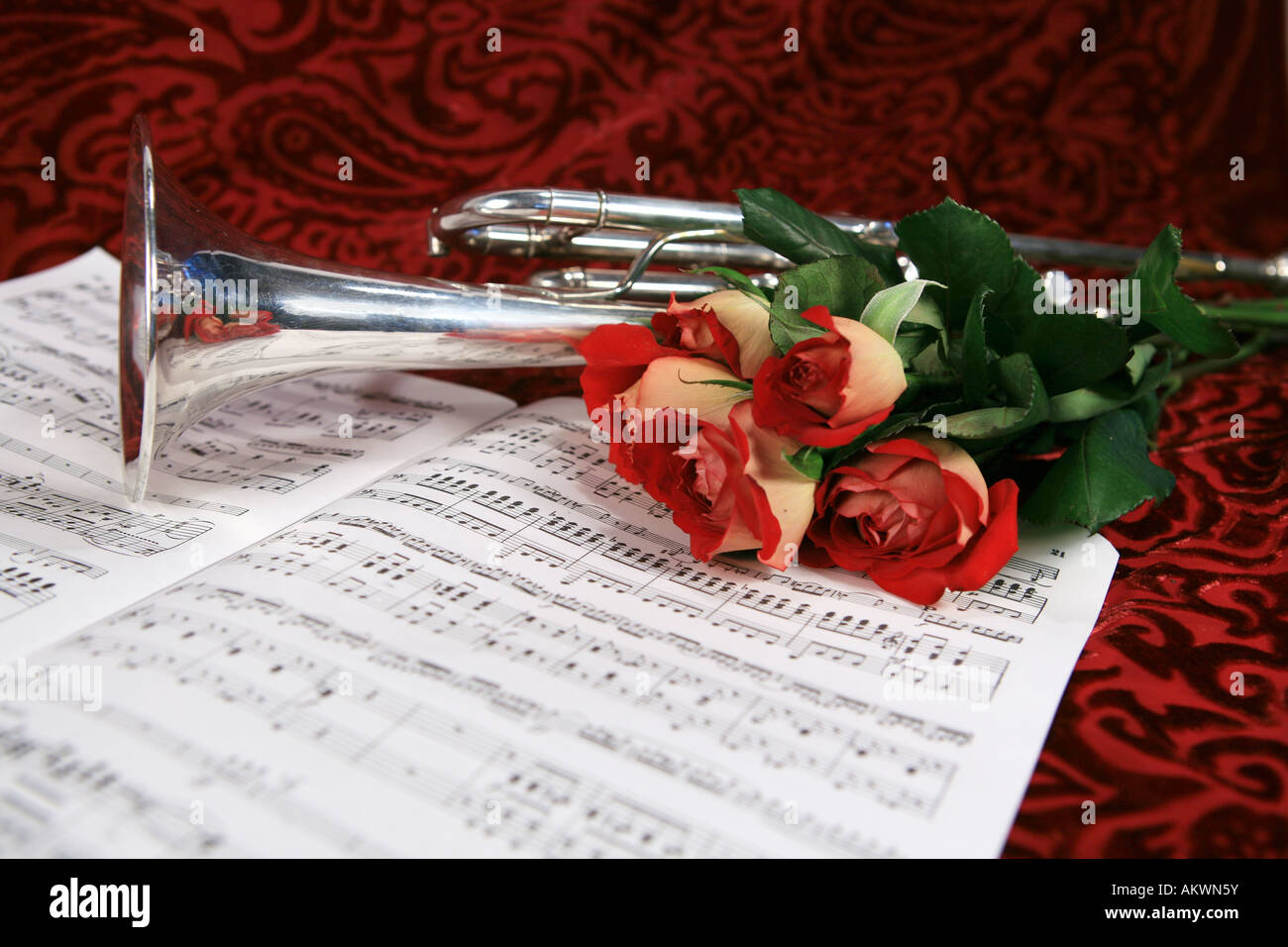 Silver trumpet with bouquet of roses on red velvet background Stock ...