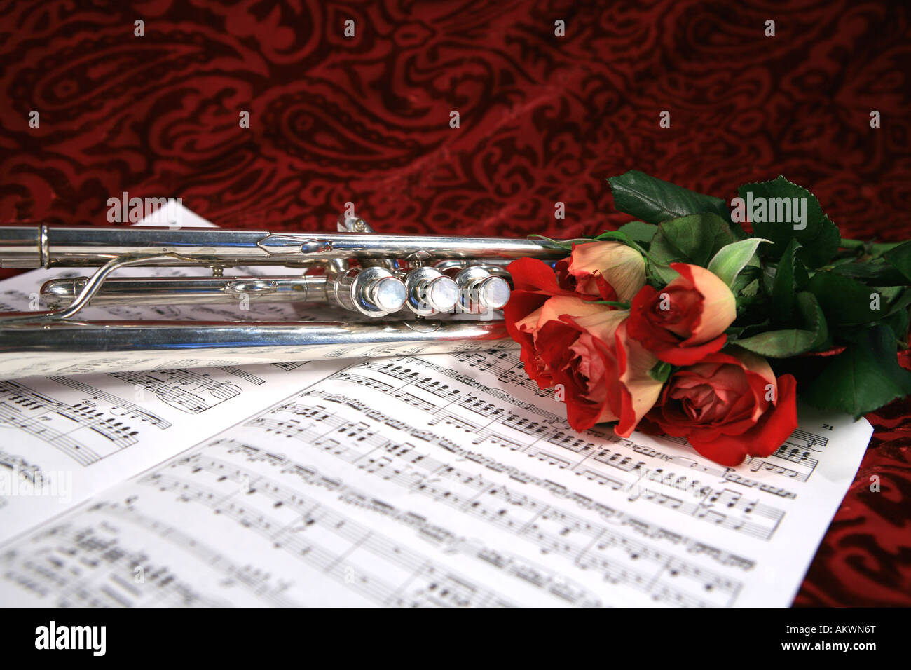 Silver trumpet with bouquet of roses on red velvet background Stock ...