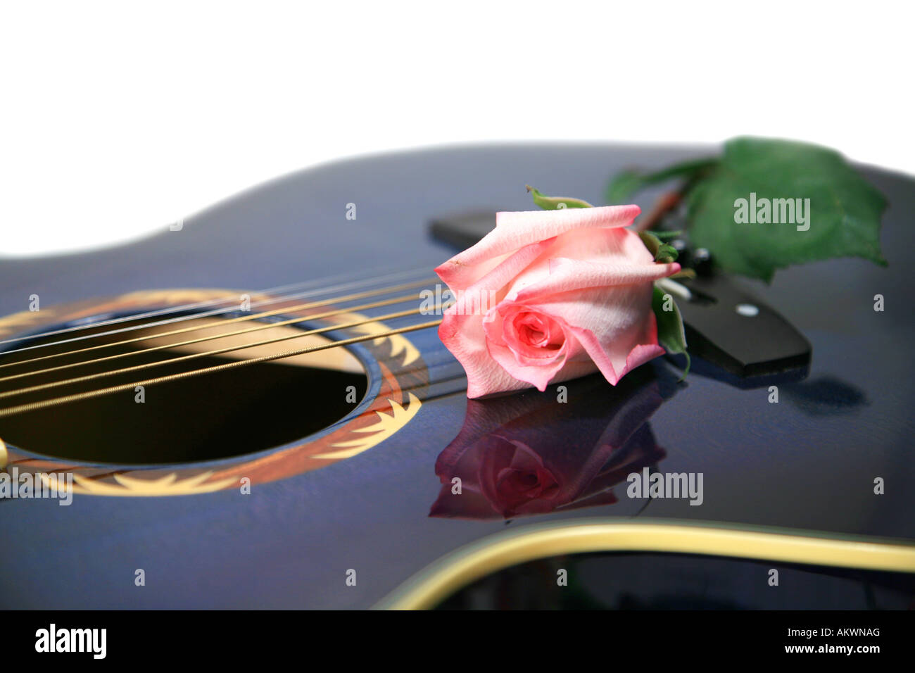 Blue acoutic guitar with pink rose on top Stock Photo - Alamy