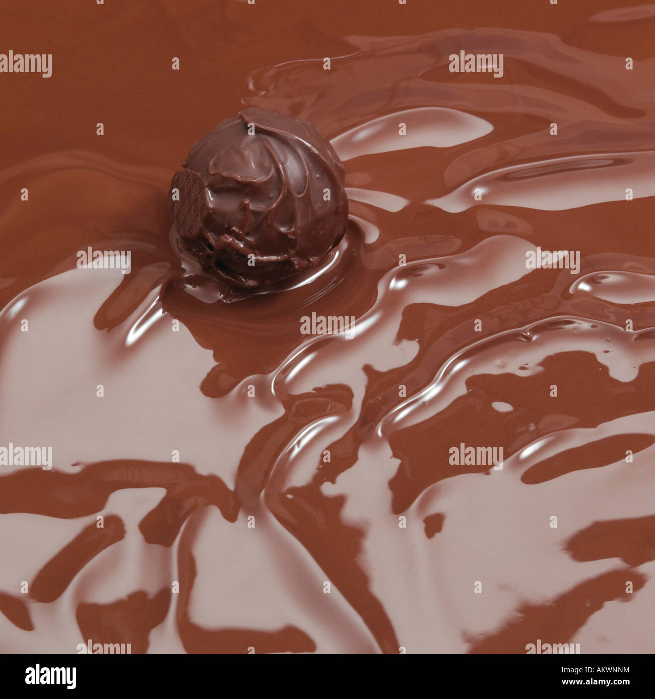 Chocolate truffle, close-up Stock Photo - Alamy