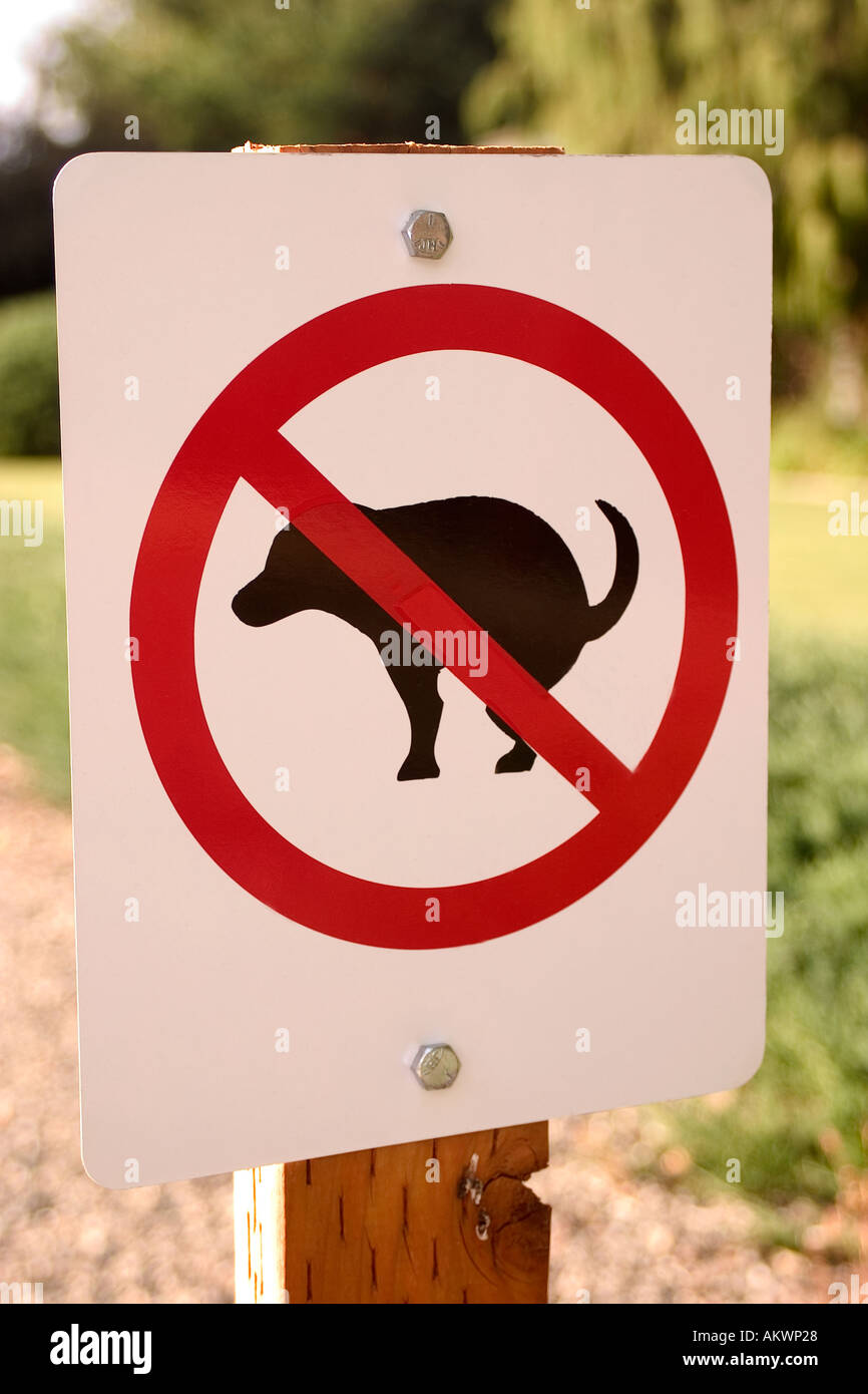 Go potty hi-res stock photography and images - Alamy