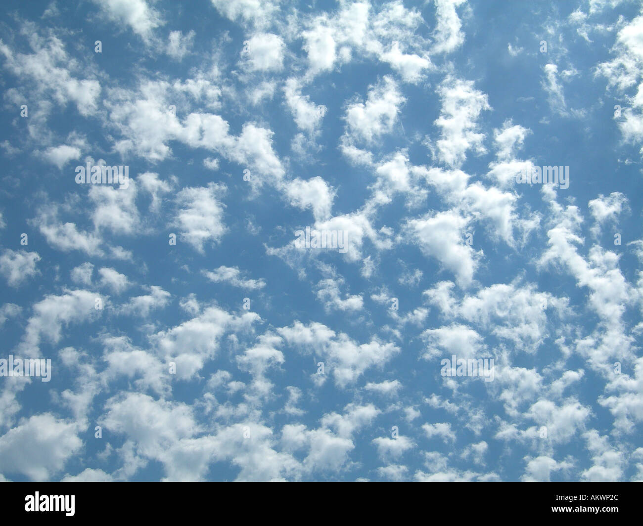blue sky is covered by white clouds Stock Photo - Alamy