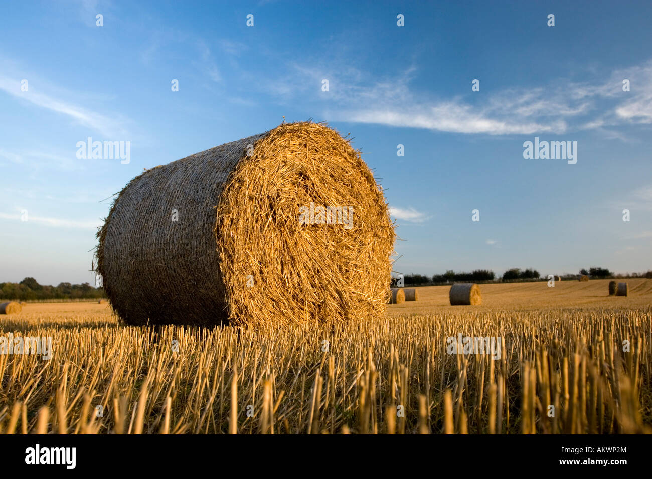 Hay bales in landscape hi-res stock photography and images - Alamy