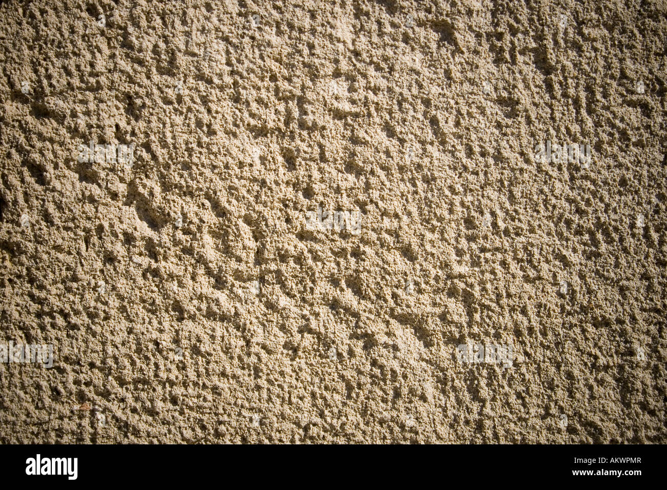 Calcarenite Limestone