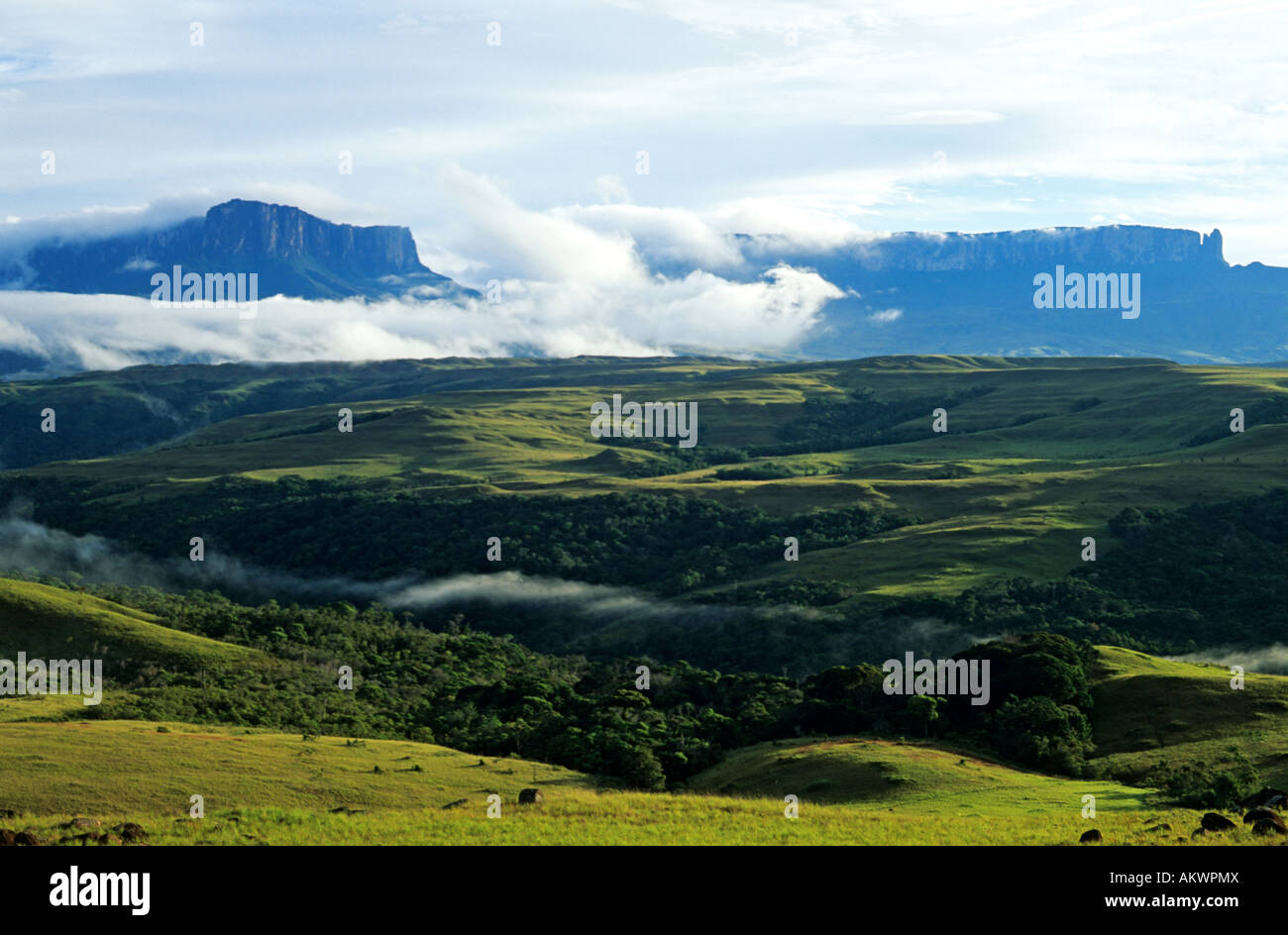 Venezuela, Gran Sabana, panorama on Tepuis Roraima Mountains and ...
