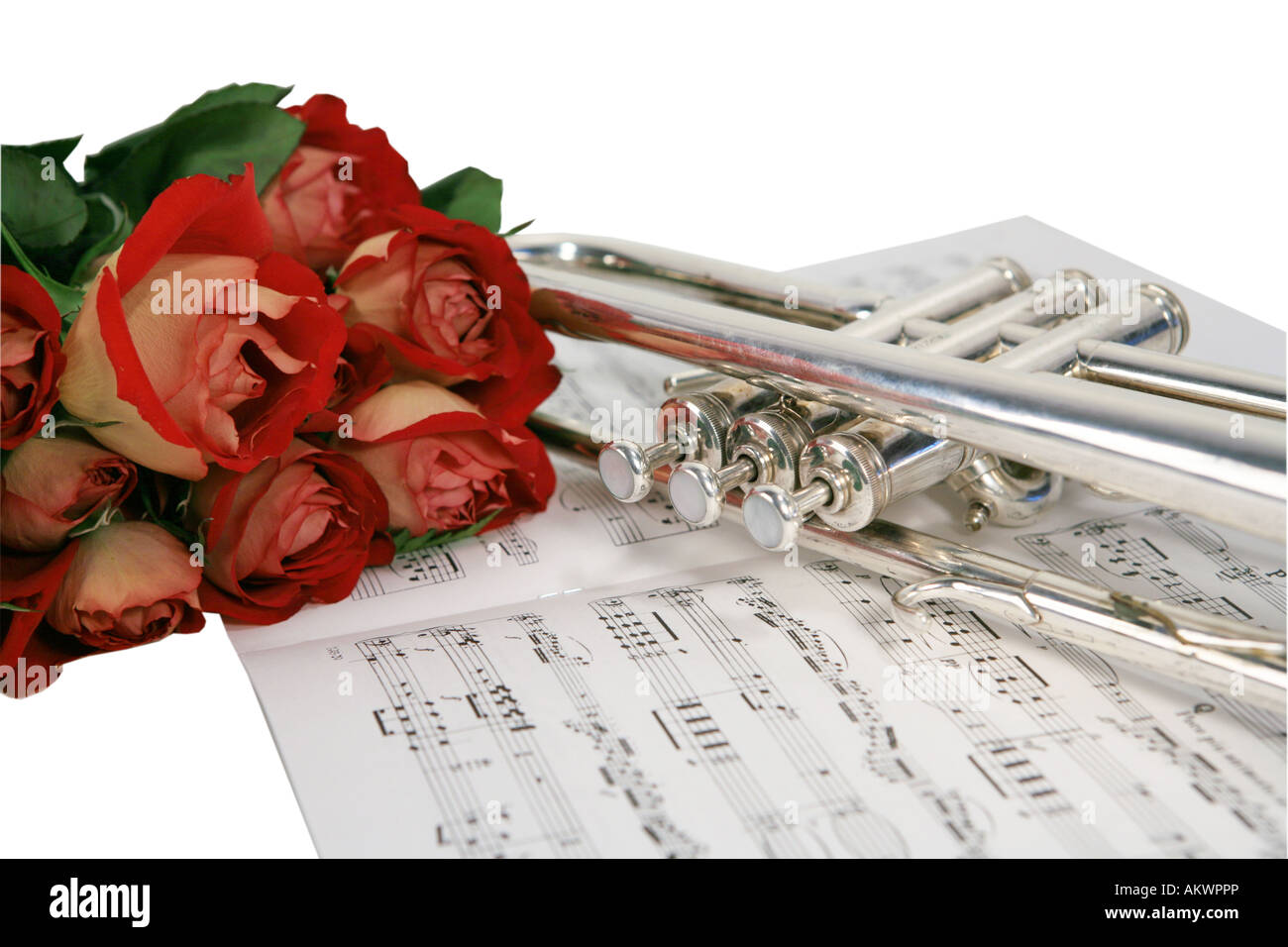 Silver trumpet long hi-res stock photography and images - Alamy