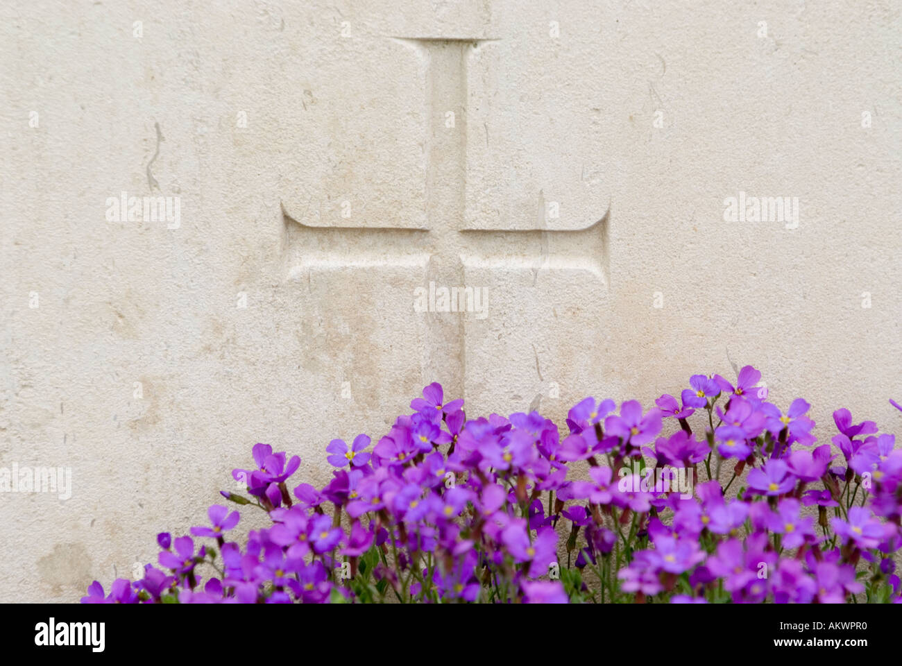 France, Normandy, Bayeux, Bayeux British War Cemetery and Memorial ...