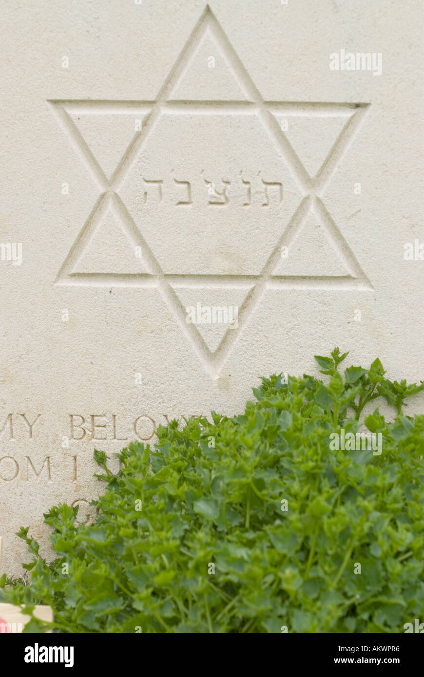 France, Normandy, Bayeux, Bayeux British War Cemetery and Memorial ...
